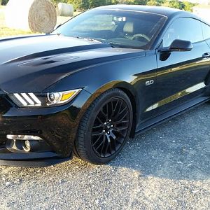 dropped | 2015+ S550 Mustang Forum (GT, EcoBoost, GT350, GT500, Bullitt ...