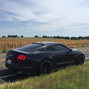 4th of July cruise. Nice view of the MMD roof spoiler; really blends ...