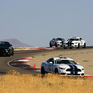 track | 2015+ S550 Mustang Forum (GT, EcoBoost, GT350, GT500, Bullitt ...