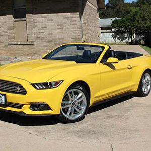 avatar | 2015+ S550 Mustang Forum (GT, EcoBoost, GT350, GT500, Bullitt ...