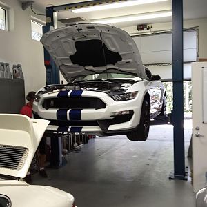 lift | 2015+ S550 Mustang Forum (GT, EcoBoost, GT350, GT500, Bullitt ...