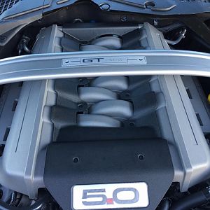 5.0 engine photo. | 2015+ S550 Mustang Forum (GT, EcoBoost, GT350 ...