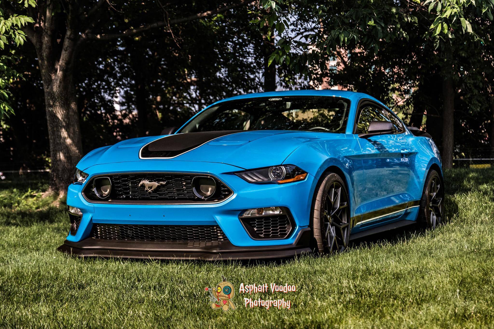 Carole | 2015+ S550 Mustang Forum (GT, EcoBoost, GT350, GT500, Bullitt ...