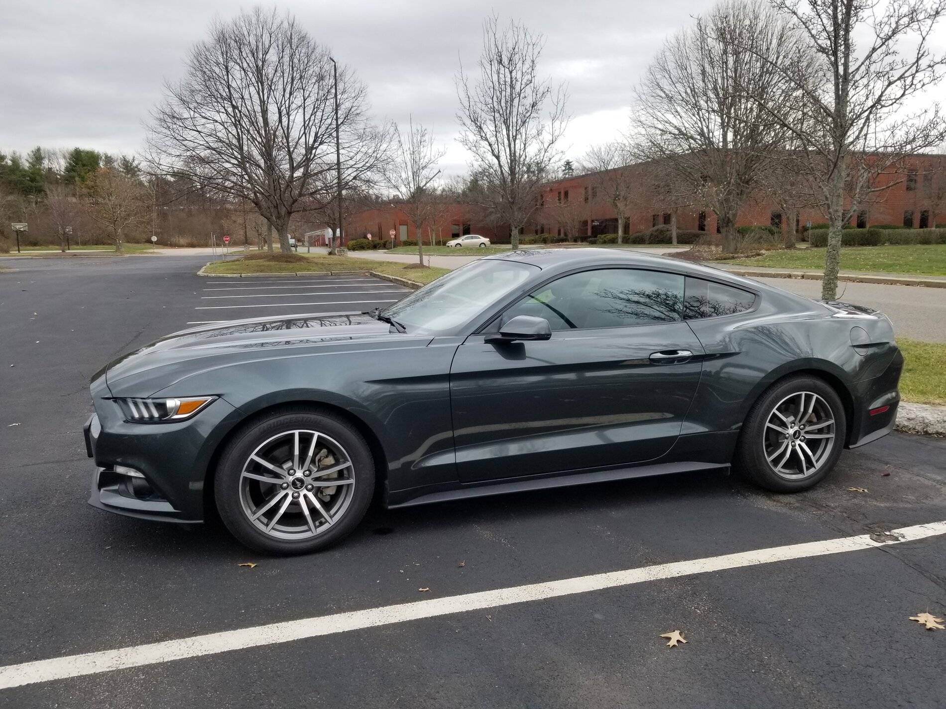 Lucy | 2015+ S550 Mustang Forum (GT, EcoBoost, GT350, GT500, Bullitt ...