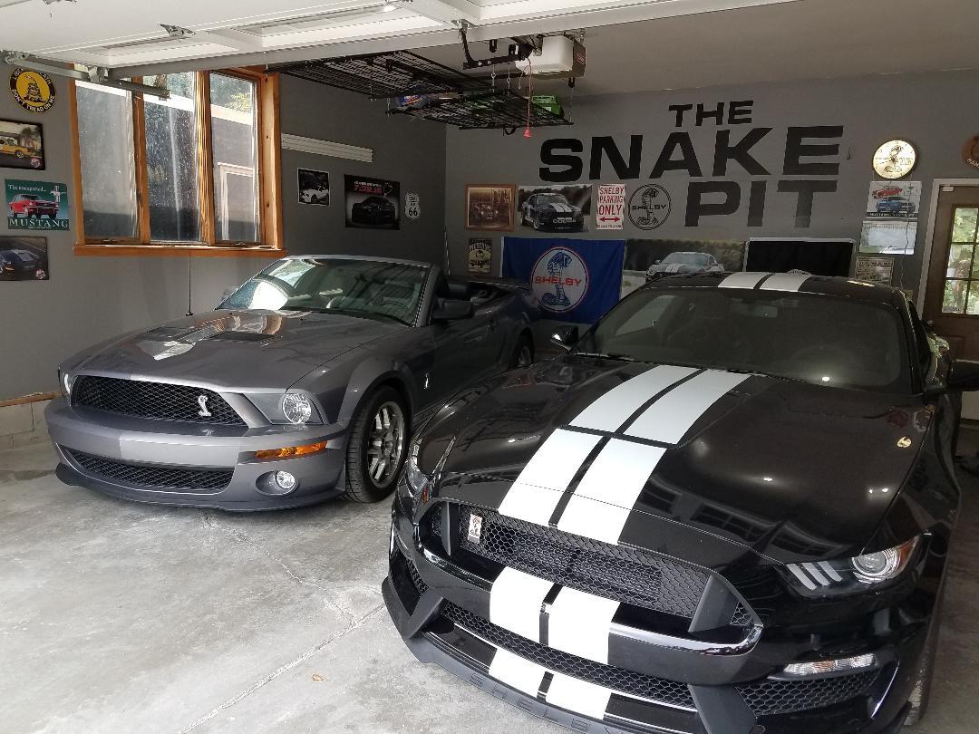 The Snake Pit | 2015+ S550 Mustang Forum (GT, EcoBoost, GT350, GT500 ...