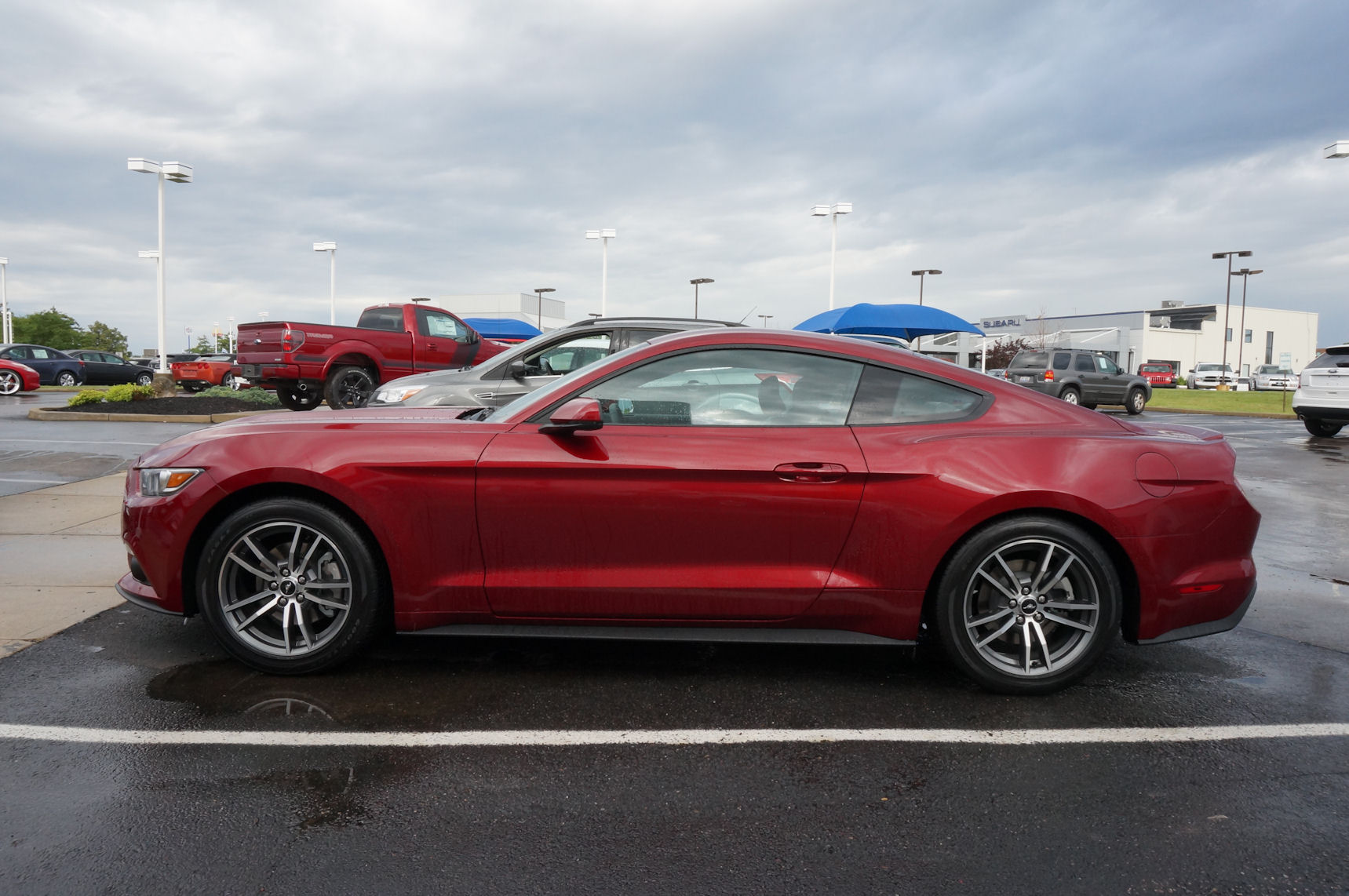 July 2014 – 2015+ Mustang Forum News Blog (S550 GT, GT350, GT500, I4 ...