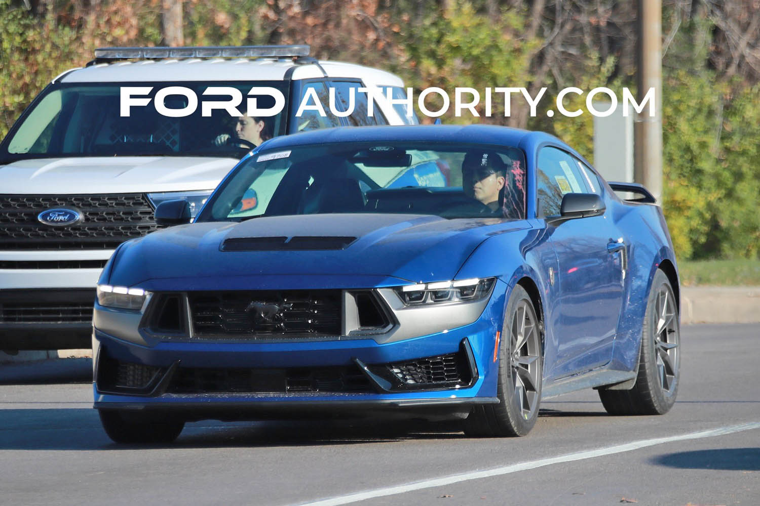 Dark Horse S650 Mustang spotted in Blue | 2015+ S550 Mustang Forum (GT ...
