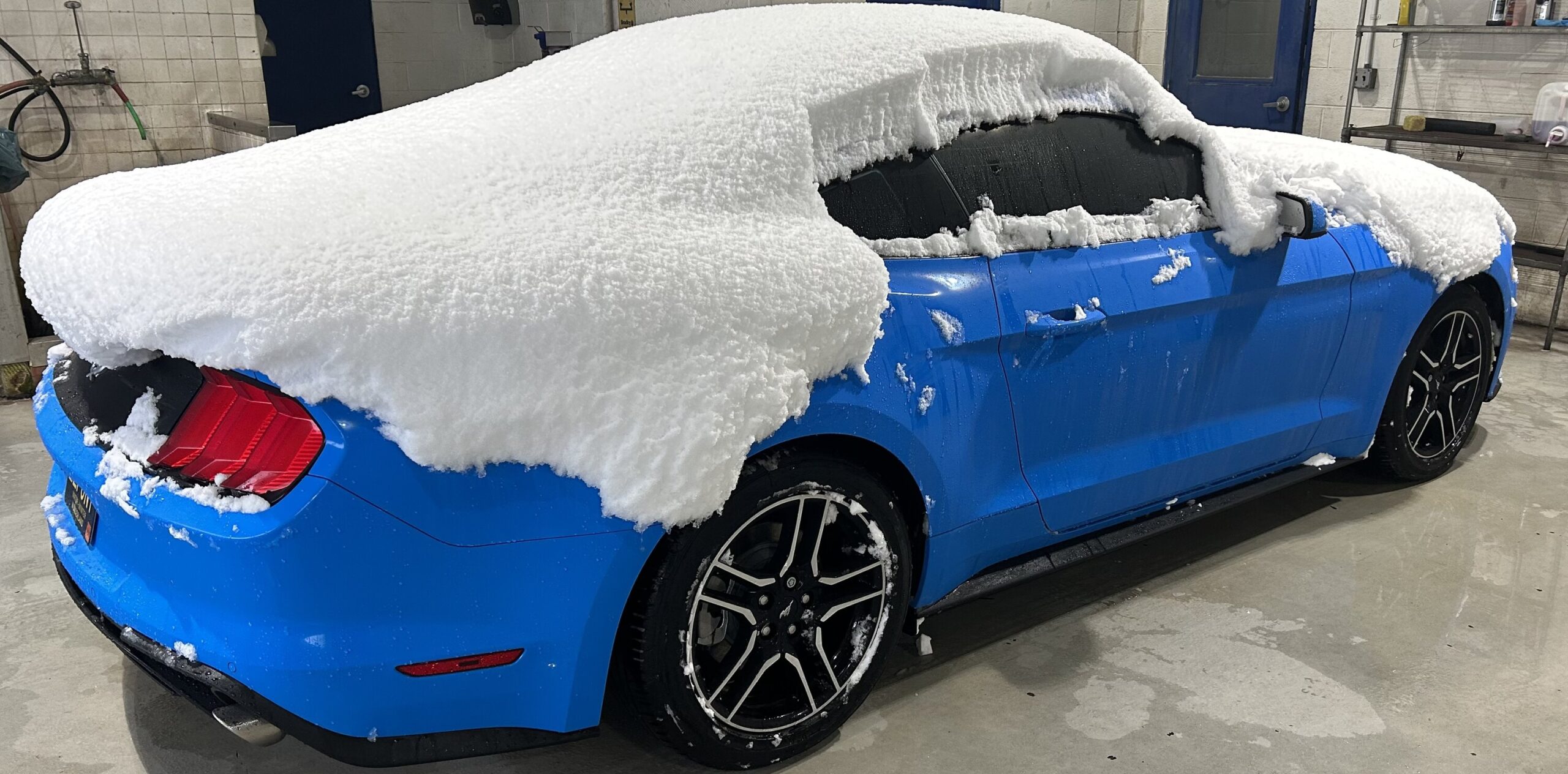 Snow Stangs Thread: Picture Edition 📸 | 2015+ S550 Mustang Forum (GT ...